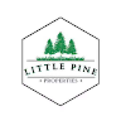 Little Pine - Profile