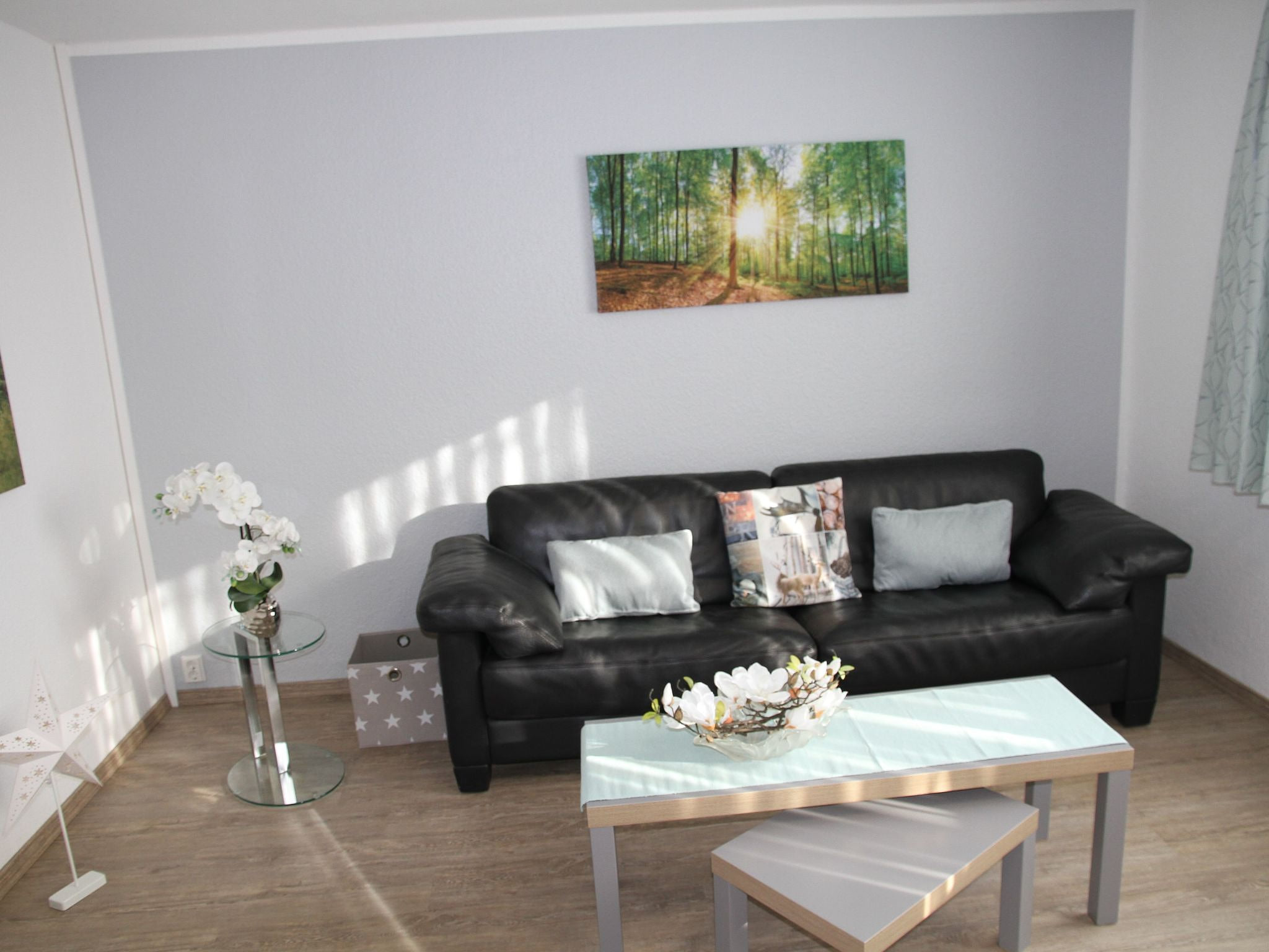 Julius 8 - gemütlich und kinderfreundlich - Sankt Andreasberg