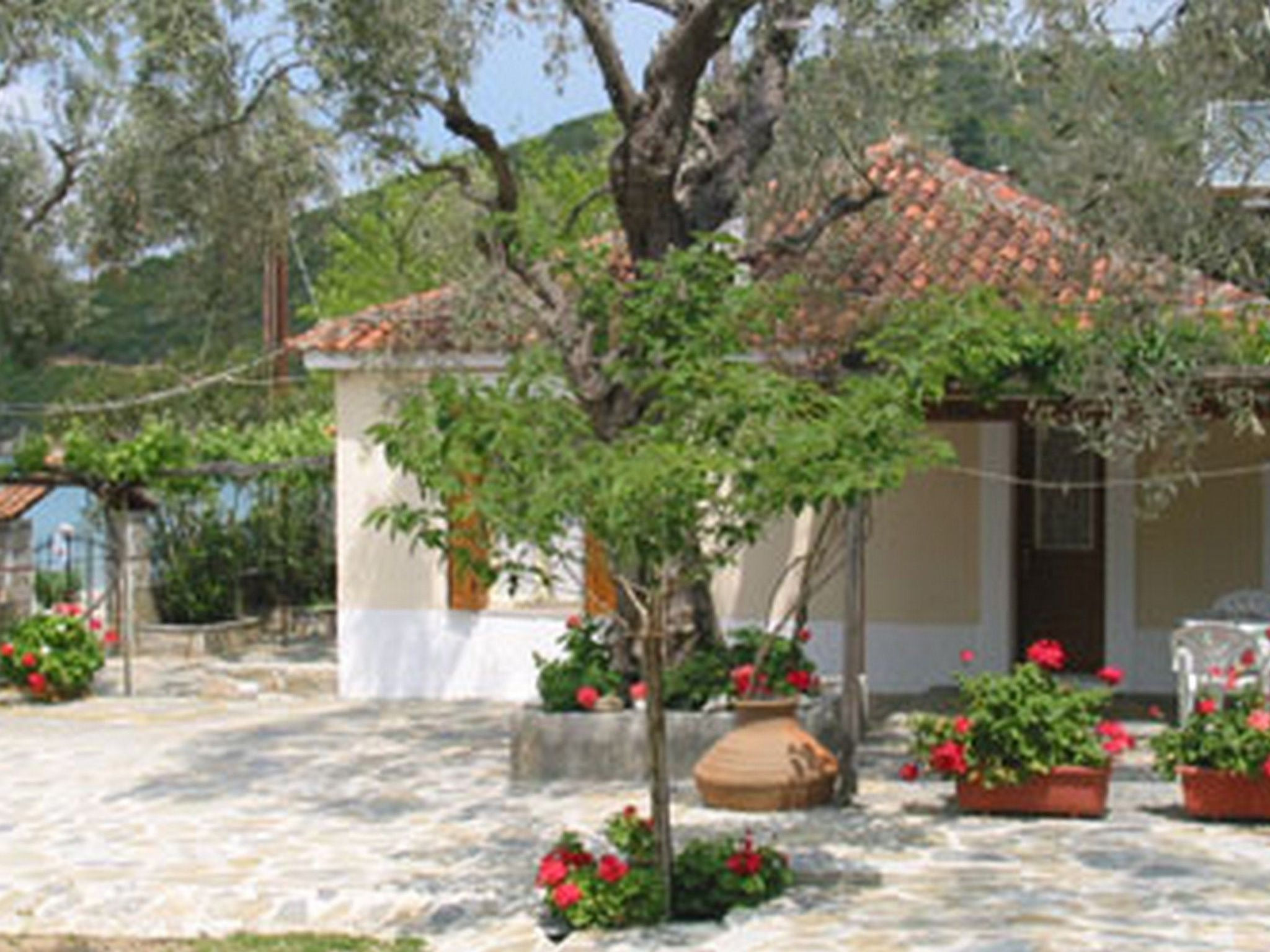 Niki Studios 3 - Chorto